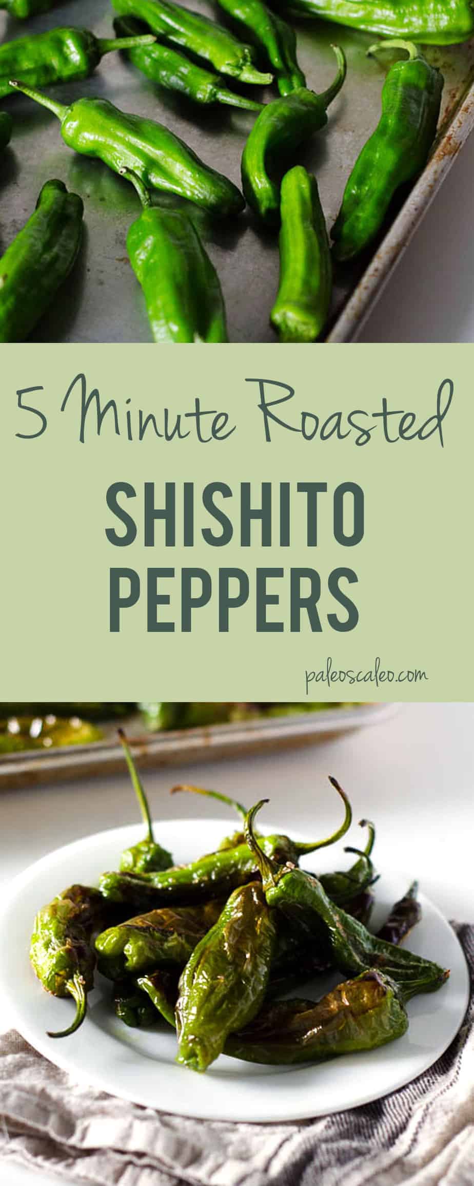Easy Oven Roasted Shishito Peppers | Rooted in Nature