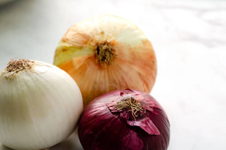 How to Cut an Onion the Easy Way | Rooted in Nature