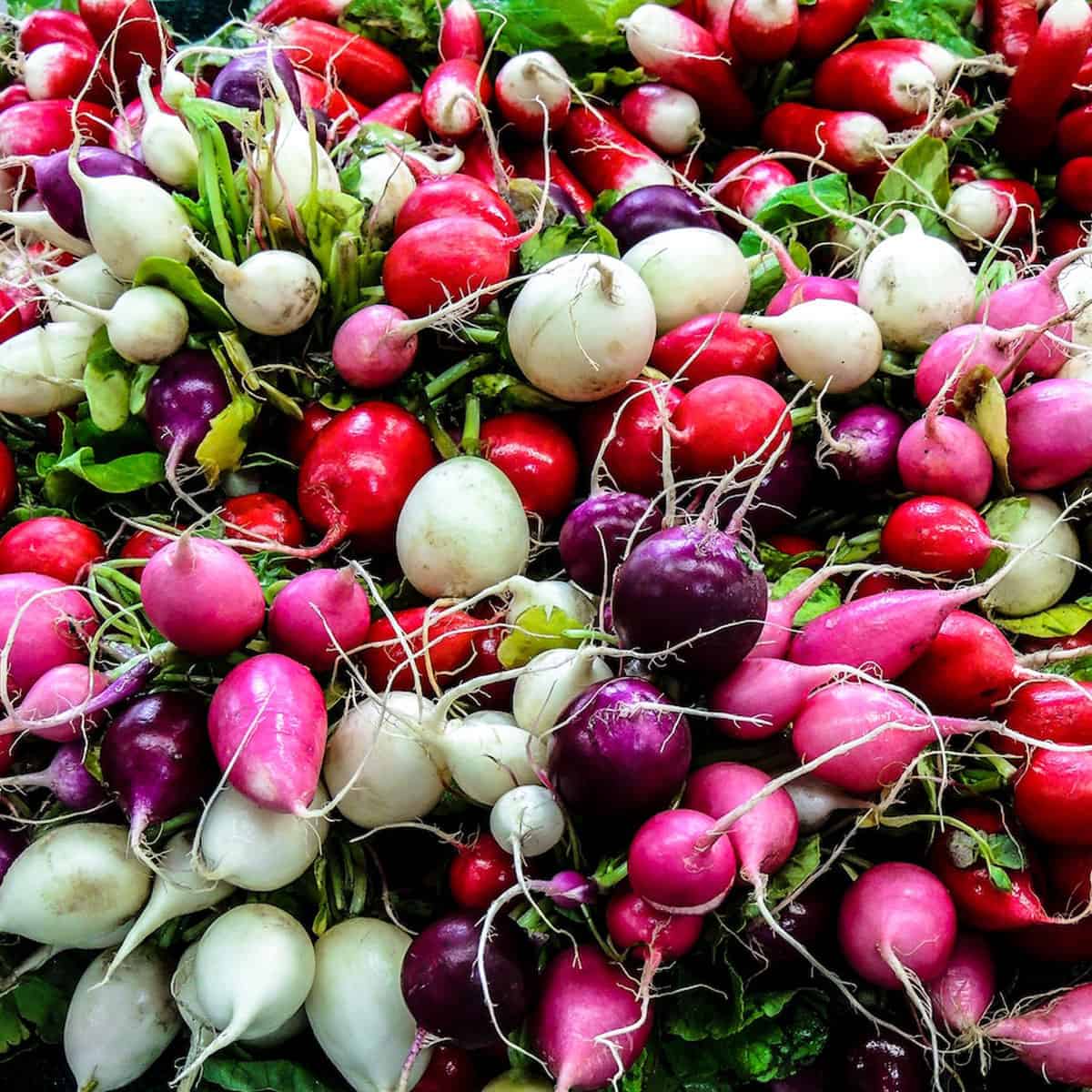 Radish vs Turnip: What’s the Difference? Flavor, Uses & Nutrition ...